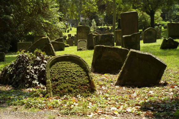 Jüdischer Friedhof „Heiliger Sand“ in Worms – Georg Dahlhoff Fotografie